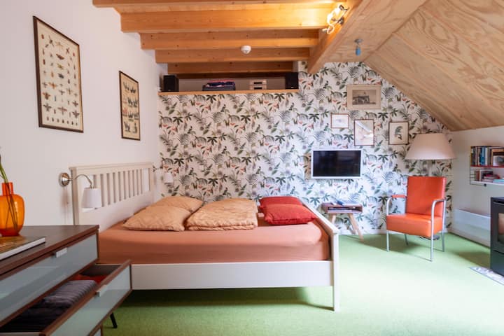 Gastenverblijf Ommeland Bij Zuidwolde/groningen - Groningen