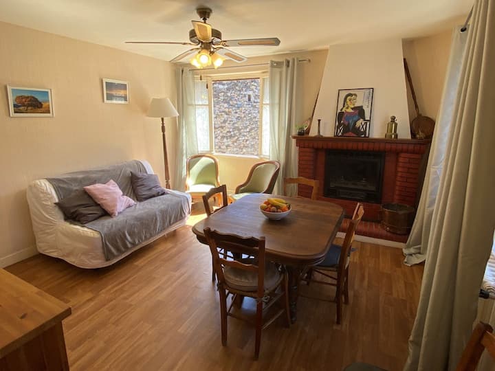 Maison Saury 'Le Vidourle' Au Coeur D'ispagnac - Florac