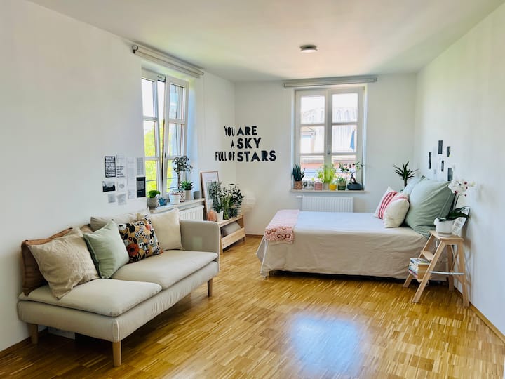 Central Bright Studio, 2 Stops From Marienplatz - Munich