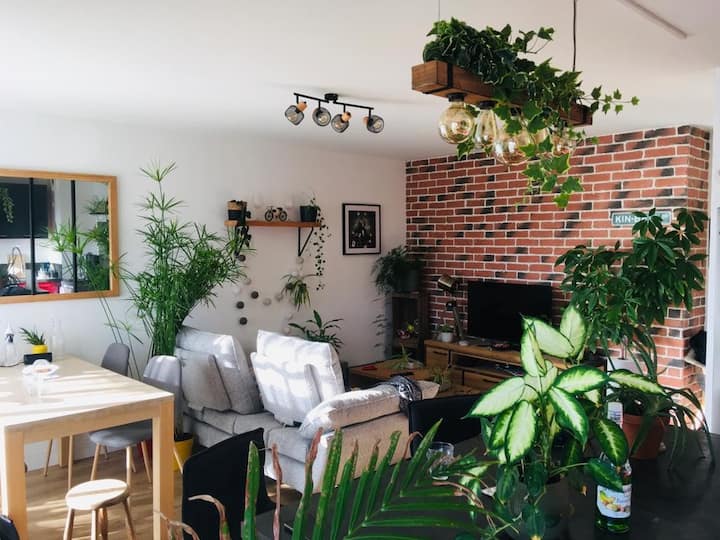 Chambre Dans Un Appartement Très Lumineux Nantes - Nantes