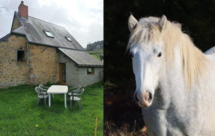 Maison à La Ferme Au Coeur Du Morvan - Morvan