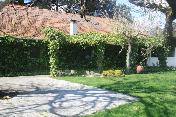 Casa Da Ribeira - Tomar