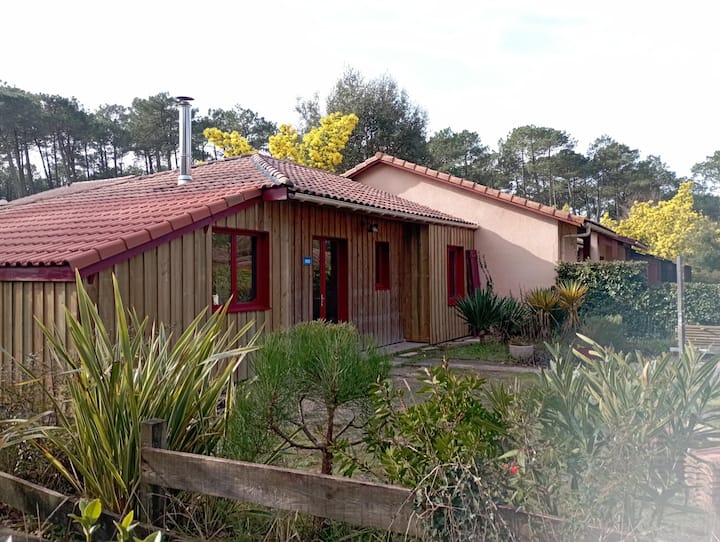 Maisonnette Sous Les Pins, Entre Golf Et Océan - Moliets-et-Maa