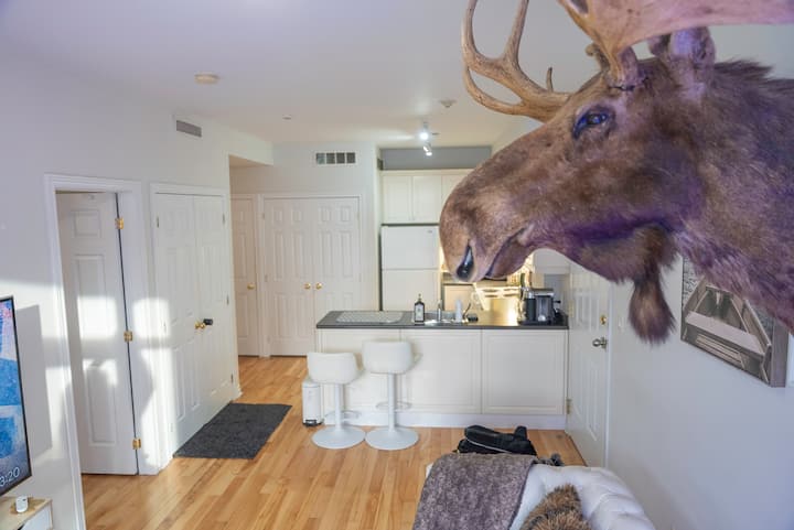 Beautiful Petit Gem Ap. In Downtown! Walk Anywhere - Toronto