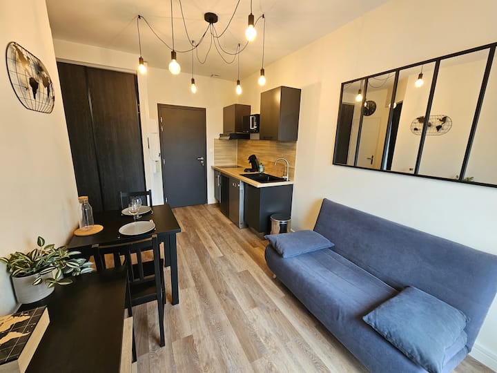 Au 3 Rue Manhès - Appartement Avec Balcon Terrasse - Albí