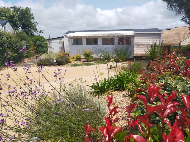 Séjour Inoubliable Entre Amis Ou En Famille ! - Talmont-Saint-Hilaire