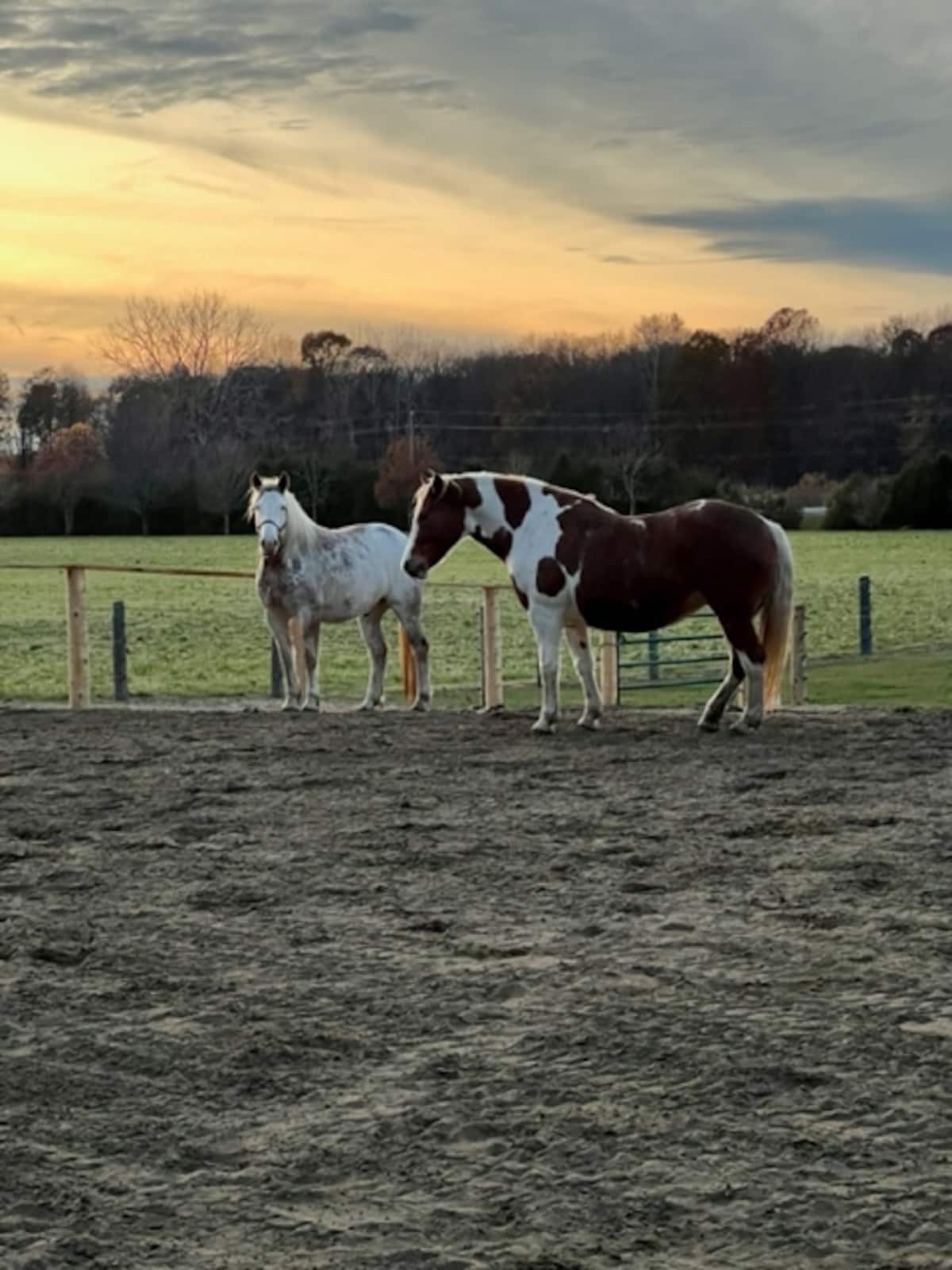 Ontario Ranch Vacation Rentals - Canada | Airbnb