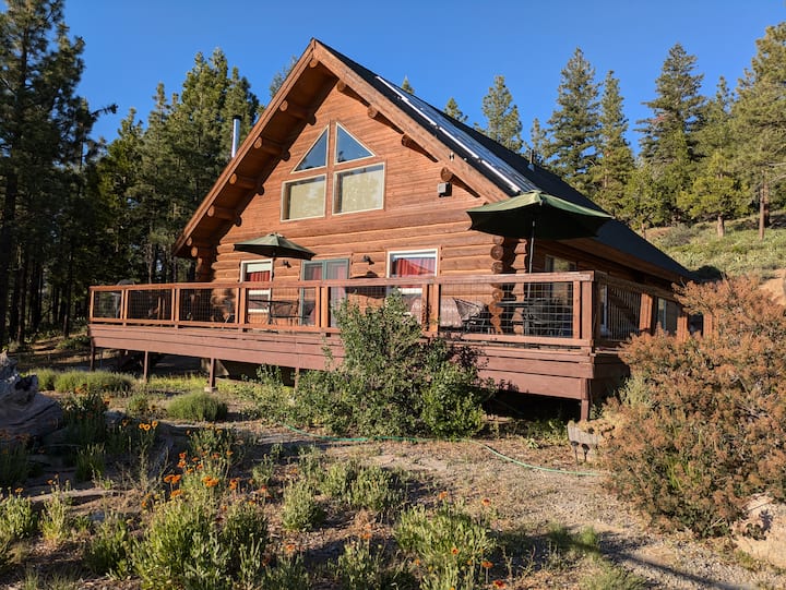 Lost Sierra Mountain Cabin (3 Night Minimum) - Lassen County