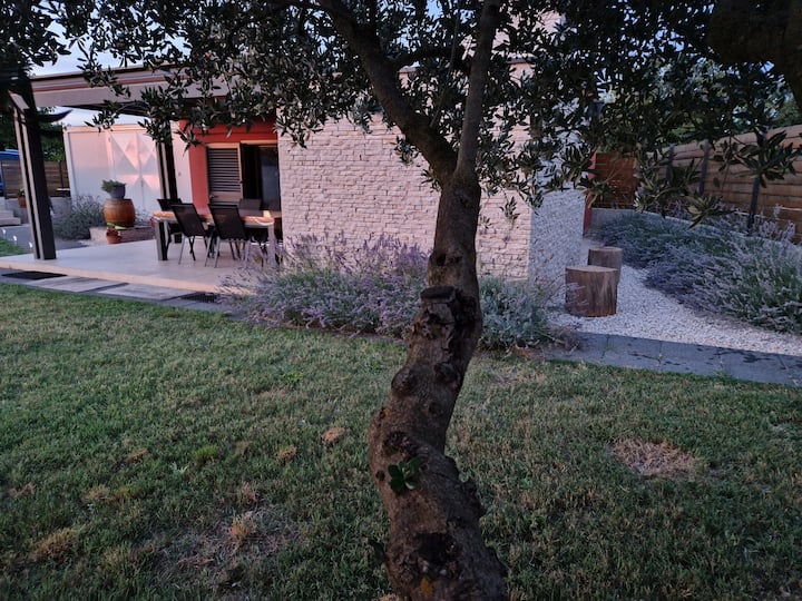 The House With Terrace - Zadar