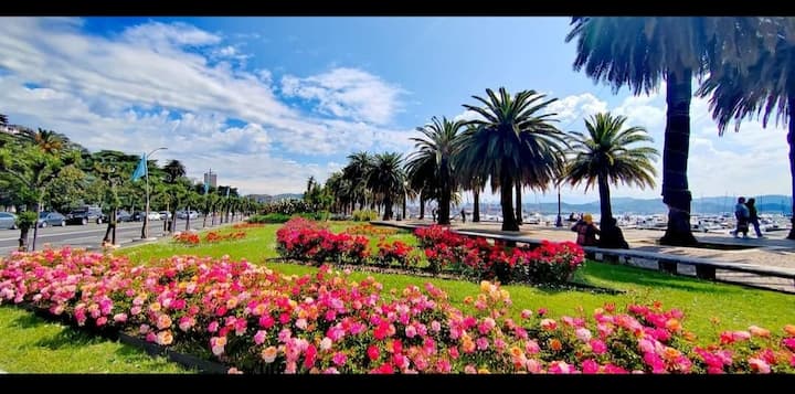 Appartamento Newport Cinqueterre - La Spezia