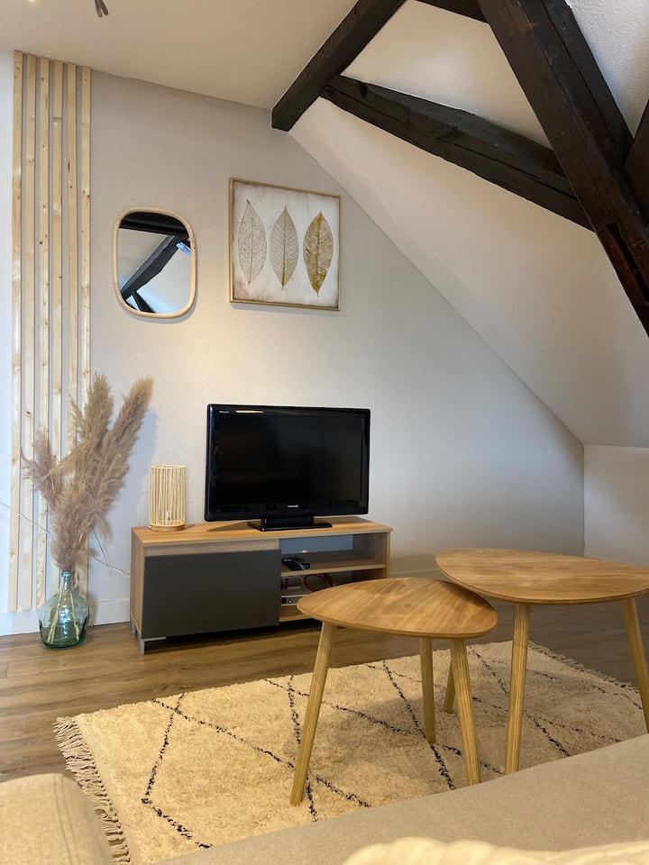 Bel Appartement 2 Pièces - Hagenau