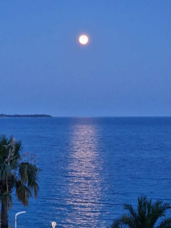 Appartement En Bord De Mer. - Le Cannet