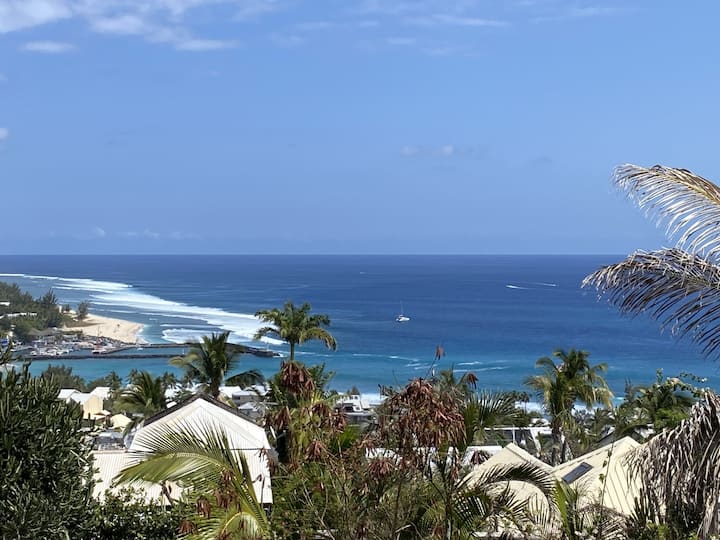 T2 Rez-de-jardin Vue Mer à Saint Gilles Les Bains - Réunion