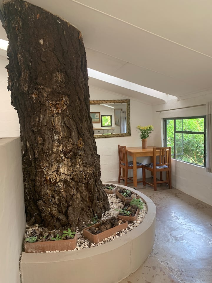 Pine Tree Stables @ Mountview Farm - Victoria Bay