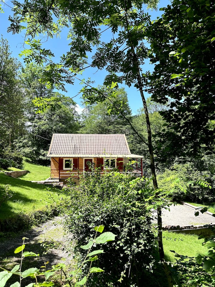 Chalet En Pleine Forêt- Les Cabanes De La Vallée - Alsace