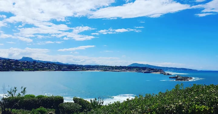 Appartement T3 - Plage à Pied - Urrugne