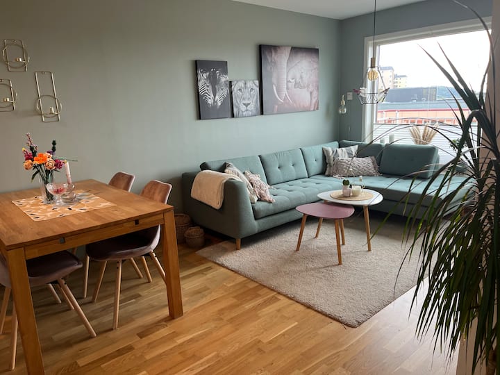 Toppleilighet Med Heis, Balkong Og Parkering - Oslo