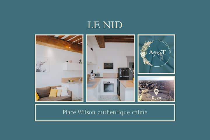 Le Nid, Centre, Confort, Calme - Dijon