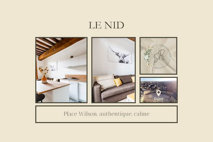 Le Nid, Centre, Confort, Calme - Dijon