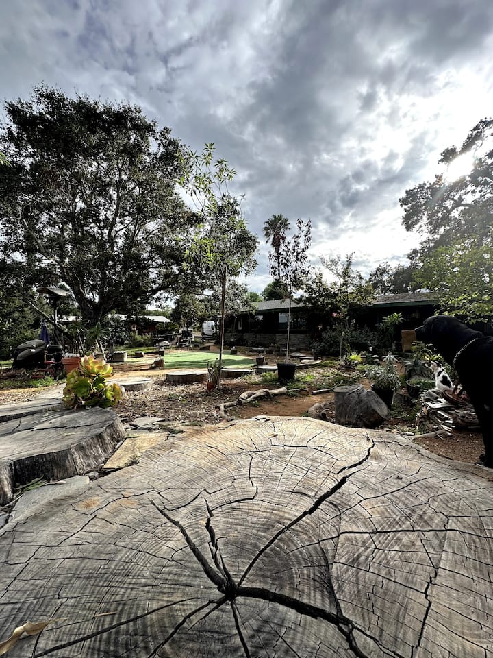 Retreat Studio • Nature Sanctuary - Bonsall, CA