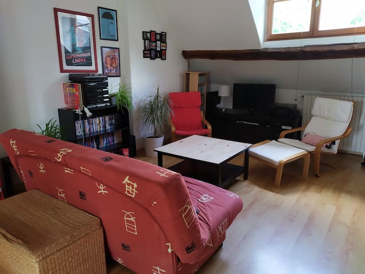 Beau Duplex 5 Pers En Hypercentre - ibis Styles Blois Centre Gare