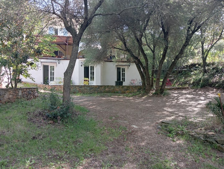 Chambre Privée.1 à 4 Personnes - Saint-Florent