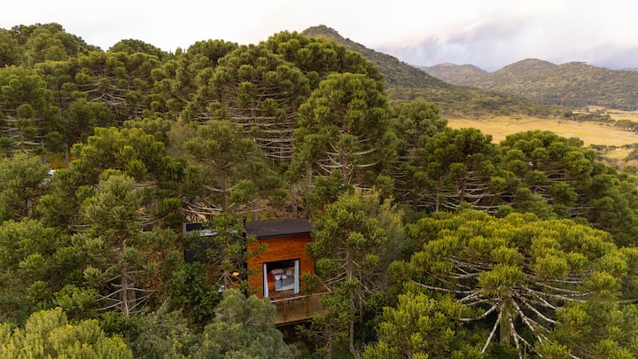 Cascata Dos Amores - Vista Montanha + Café - Bom Jardim da Serra