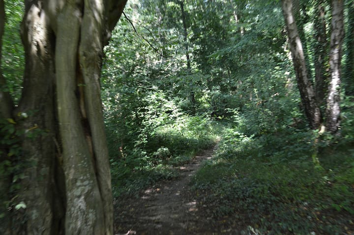 Calme Et Verdure 9 - Aachen