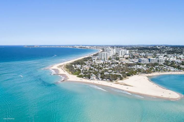 Alby’s - Cotton Tree - Buderim
