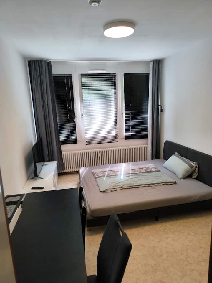 Penthouse Above The Roofs Of The City - Heidelberg