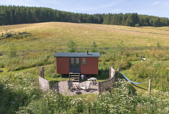 Luxury Dog-friendly Shepherds' Hut - Dunkeld