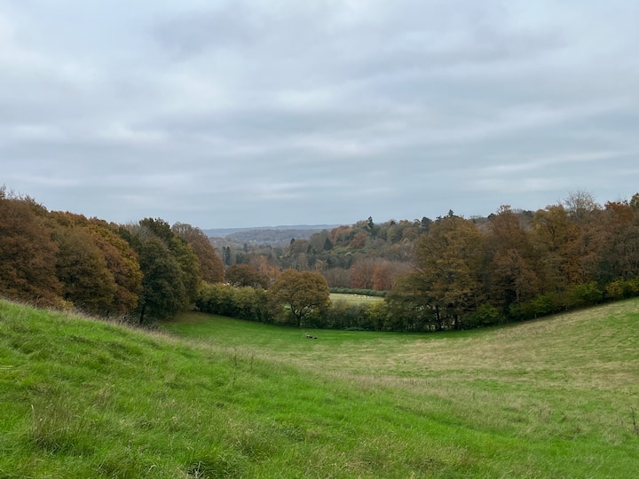 Wild Camping In Beautiful Secluded Valley - Guildford