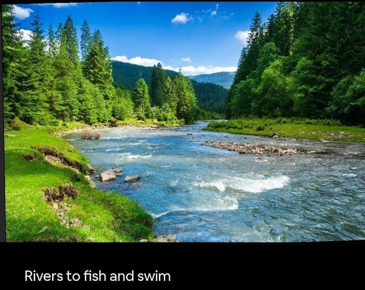 Lake/rivertahoe Forest Live/work 2 Bed - Foresthill, CA