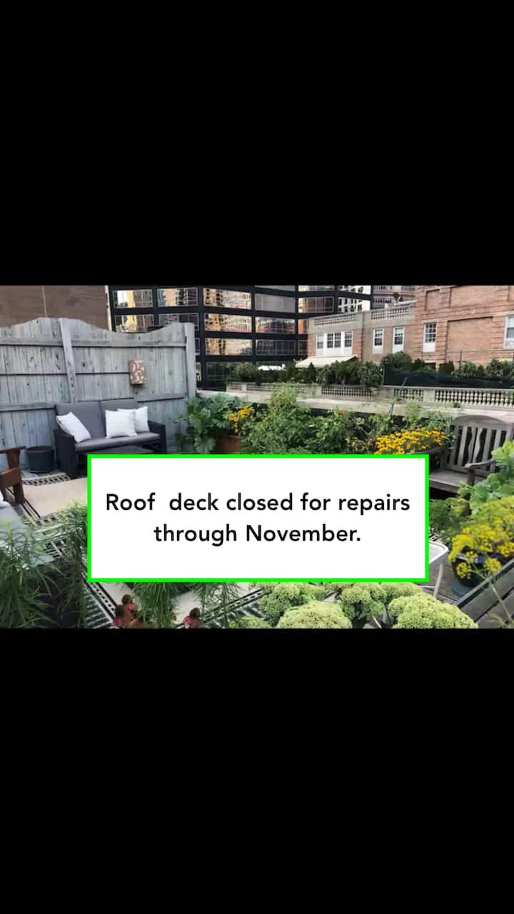 Penthouse Studio East 50s With Roof Terrace - San Gennaro Feast