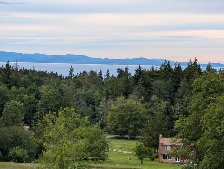 In The Foothills Of The Olympic National Park - Port Angeles, WA