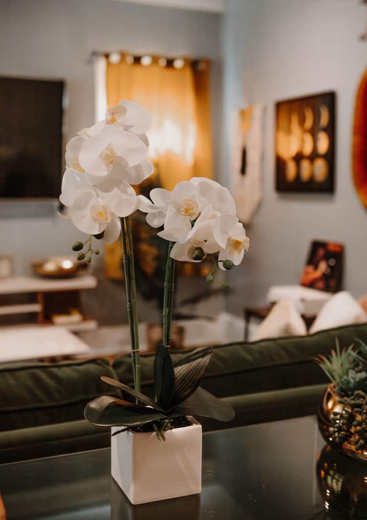 Creative, Cozy Home In Historic Highland Square - 애크런