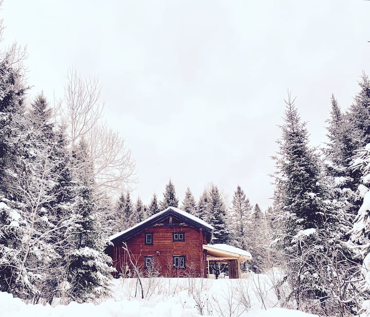 Maison Pièce Sur Pièce Dans éCoquartier - Shawinigan