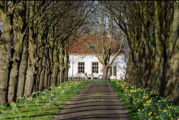B&b, Mooi Landelijk Gelegen, Achter Oude Oprijlaan - Zierikzee