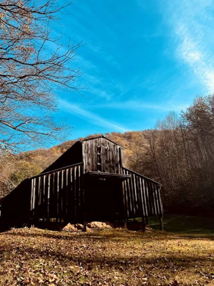 Peaceful Forest Hideaway For The Perfect Get-away. - Murphy, NC