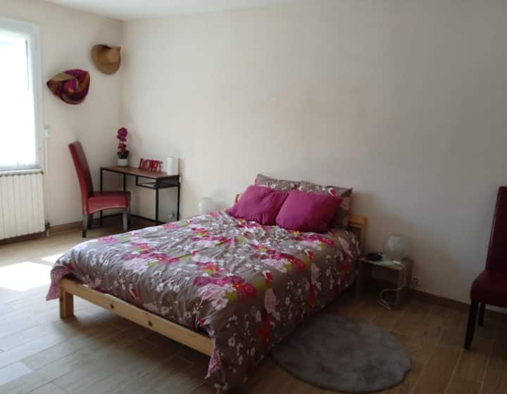 "Les Sycomores" Villa Avec Jardin - Sisteron