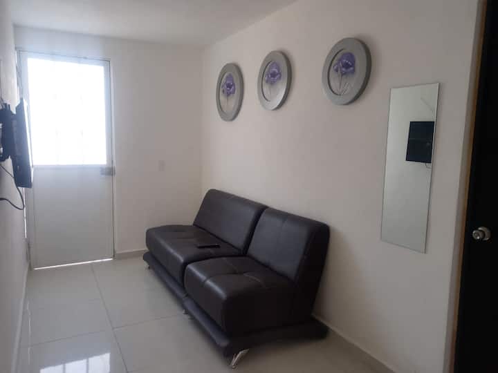 Departamento Económico En El Centro De Slp - San Luis Potosí