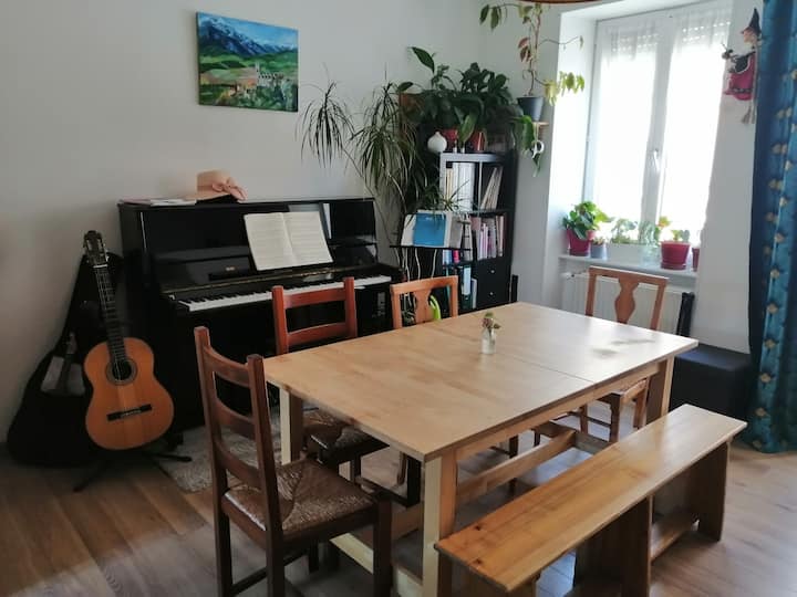 Strasbourg: Bel Appartement Privé - Strassburg