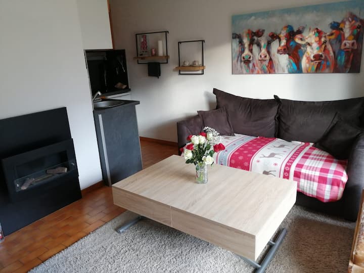 Appartement Espace Diamant - Flumet