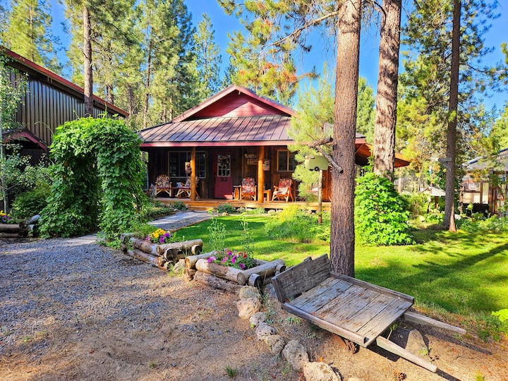 Pinecone Cabin, Couples Retreat, Hot Tub, Pets Ok! - Oregon