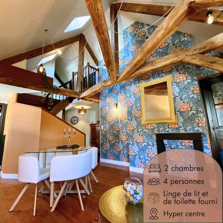 Le Gatsby - Duplex Art Déco Au Coeur De Blois - Blois
