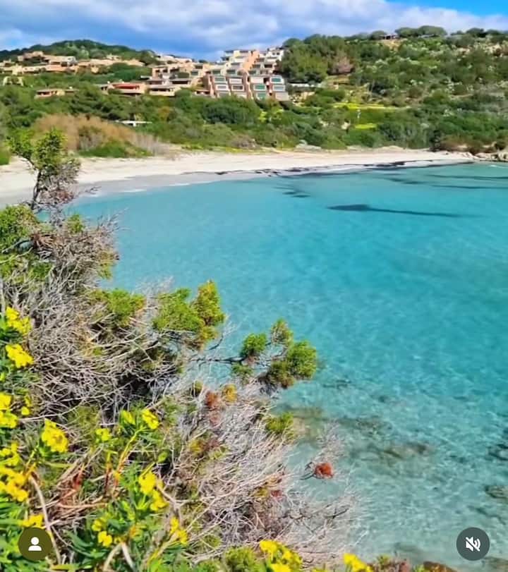 Green House - Villasimius 200 Mt From The Sea - Province of South Sardinia