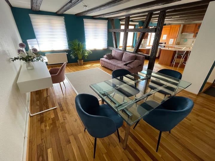 Super Appartement De 90 M2 Au Centre Historique - Ottrott