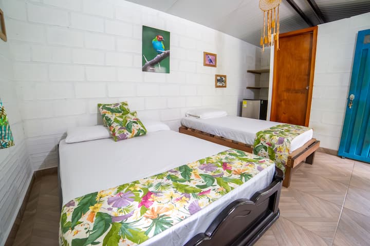 La Posada De Las Aves (Gyrola) - San Rafael