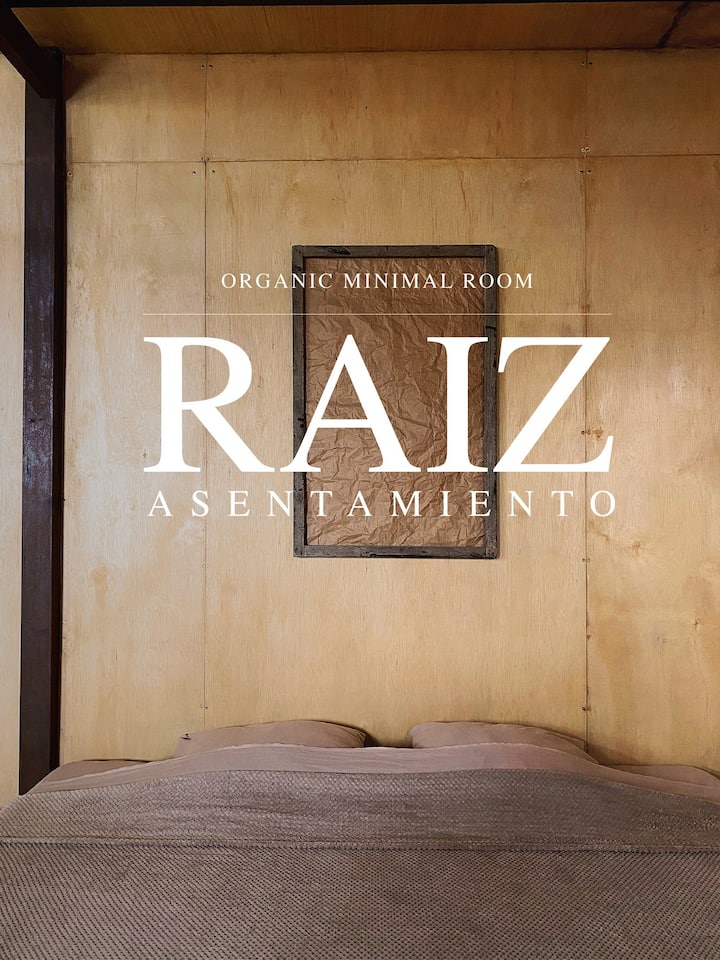 _raíz Asentamiento_
• Organic Minimal Room • - Máncora