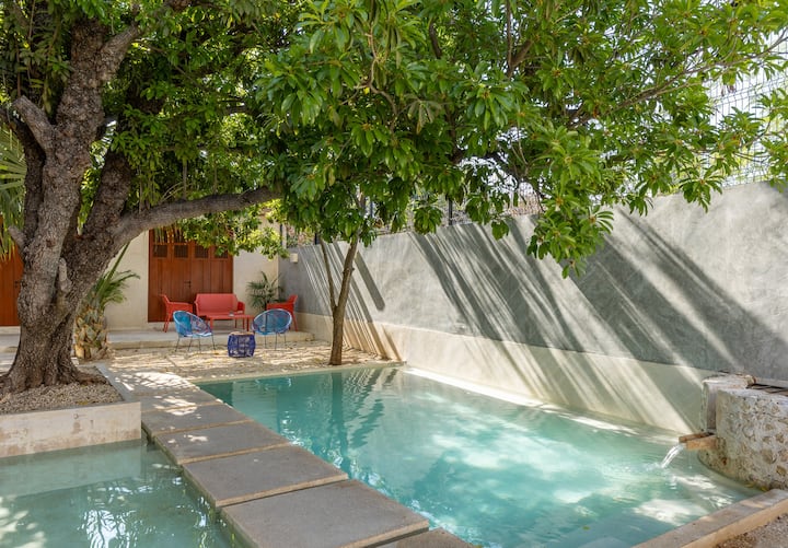 Spacious 1-floor House, Outdoor Oasis In Centro - Mérida
